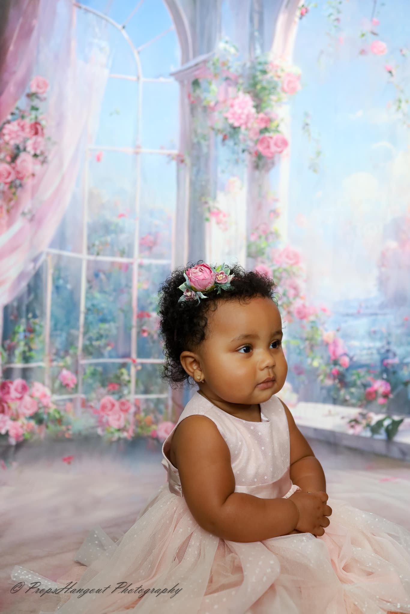 Avezano Flower Wonderland Window Backdrops For Photography