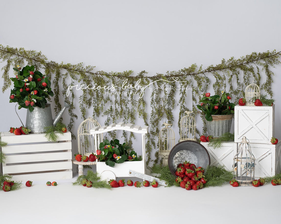 Avezano Strawberry Theme Photography Backdrop Designed By Angela Forke