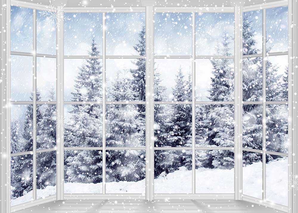 Avezano Winter Snowy Scene Outside Window Backdrop For Photography