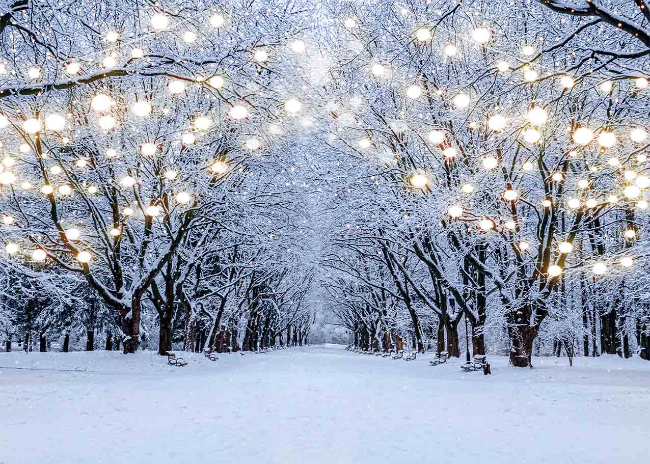 Avezano Winter Forest in the Snow with Colored Lights Photography