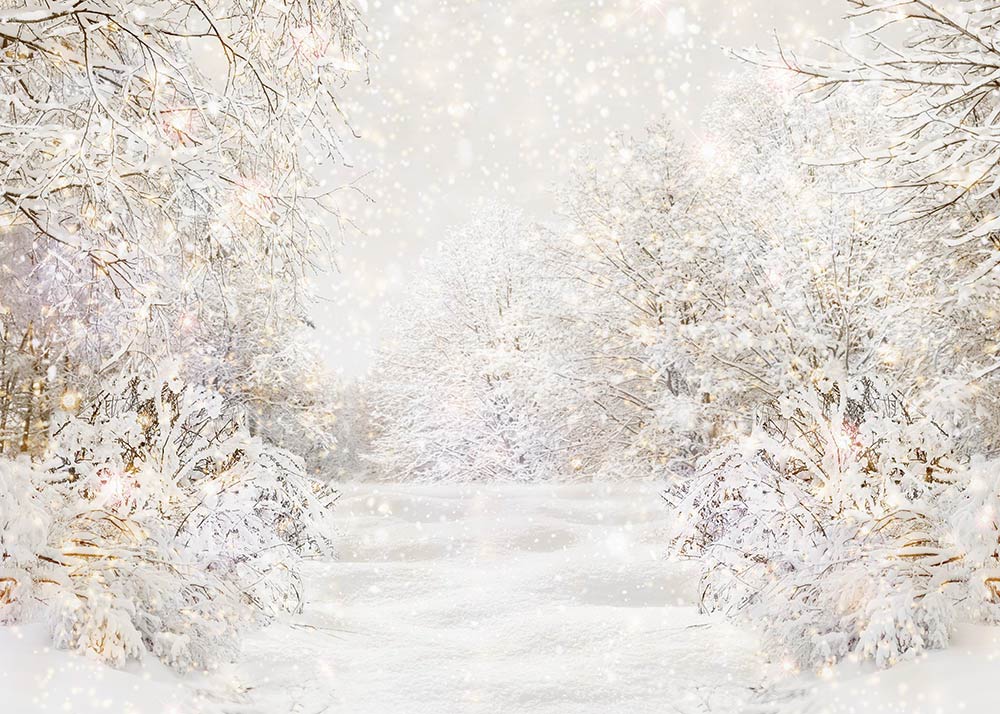 Avezano Winter Snow Scene Warm Light Photography Background